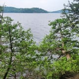 Niquette Bay State Park, Vermont - 868 Reviews, Map | AllTrails