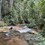 Mount Ulu Sepat, Perak, Malaysia - 16 Reviews, Map | AllTrails