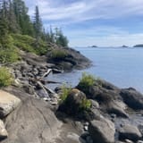 Scoville Point via Stoll Trail, Michigan - 475 Reviews, Map | AllTrails
