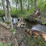 Ryan Park Loop, Rhode Island - 422 Reviews, Map | AllTrails