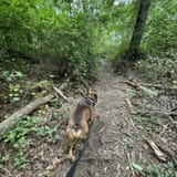 Ryan Park Loop, Rhode Island - 422 Reviews, Map | AllTrails