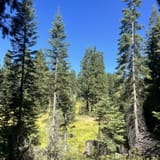 Chicago Stump Trail, California - 93 Reviews, Map | AllTrails