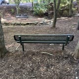 Webb Bridge Park Trail, Georgia - 768 Reviews, Map | AllTrails