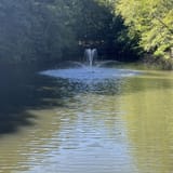 Webb Bridge Park Trail, Georgia - 768 Reviews, Map | AllTrails