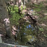 Webb Bridge Park Trail, Georgia - 768 Reviews, Map | AllTrails