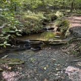 Webb Bridge Park Trail, Georgia - 768 Reviews, Map | AllTrails