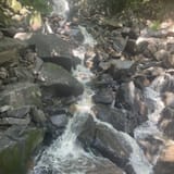 Allison Park Loop, New Jersey - 1,187 Reviews, Map | AllTrails