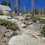 Ralston Peak, California - 1,693 Reviews, Map | AllTrails