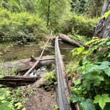 Irely Lake Trail, Washington - 125 Reviews, Map | AllTrails