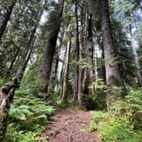 Irely Lake Trail, Washington - 125 Reviews, Map | AllTrails