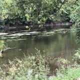 Gring's Mill Trail, Pennsylvania - 1,084 Reviews, Map | AllTrails