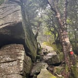 Burroughs Range Trail (Wittenberg, Cornell, Slide Trail), New York ...
