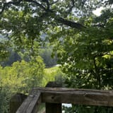 6 Ravine Challenge, Indiana - 1,163 Reviews, Map | AllTrails