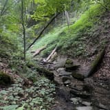 6 Ravine Challenge, Indiana - 1,163 Reviews, Map | AllTrails