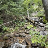 Thomas Trail Loop, Colorado - 1,286 Reviews, Map | AllTrails