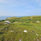 White Point Lookout, Nova Scotia, Canada - 631 Reviews, Map | AllTrails