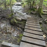 Mount Cardigan Loop Trail, New Hampshire - 2,343 Reviews, Map | AllTrails