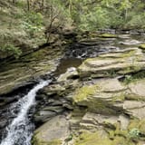 Fiery Gizzard Loop, Tennessee - 1,321 Reviews, Map | AllTrails