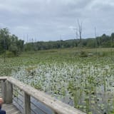 Ohio and Erie Canal Towpath: Botzum to Everett, Ohio - 771 Reviews, Map ...