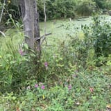 Ohio and Erie Canal Towpath: Botzum to Everett, Ohio - 761 Reviews, Map ...