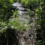 Daniel Ridge Loop, North Carolina - 2,114 Reviews, Map | AllTrails
