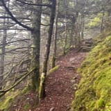 Burroughs Range Trail (Wittenberg, Cornell, Slide Trail), New York ...