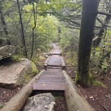 Burroughs Range Trail (Wittenberg, Cornell, Slide Trail), New York ...