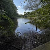 Henderson Park Loop, Georgia - 1,909 Reviews, Map | AllTrails