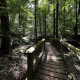 Henderson Park Loop, Georgia - 1,827 Reviews, Map | AllTrails