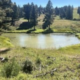 Beaver Ponds Loop Trail, Montana - 1,500 Reviews, Map | AllTrails