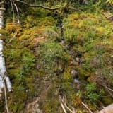 Botany Canyon, South Dakota - 549 Reviews, Map | AllTrails