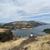 Rowena Plateau Trail, Oregon - 845 Reviews, Map | AllTrails