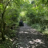 The Knoll Loop, Oregon - 3,591 Reviews, Map | AllTrails