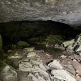 Buggytop Trail to Lost Cove Cave, Tennessee - 773 Reviews, Map | AllTrails