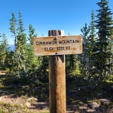 Cinnamon Mountain Trail, Montana - 231 Reviews, Map | AllTrails