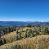 Cinnamon Mountain Trail, Montana - 231 Reviews, Map | AllTrails