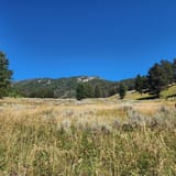 Cinnamon Mountain Trail, Montana - 231 Reviews, Map | AllTrails