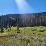 Cinnamon Mountain Trail, Montana - 230 Reviews, Map | AllTrails
