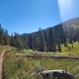 Cinnamon Mountain Trail, Montana - 231 Reviews, Map | AllTrails