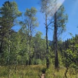Cinnamon Mountain Trail, Montana - 231 Reviews, Map | AllTrails