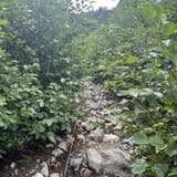 Sky Pilot Trail, British Columbia, Canada - 263 Reviews, Map | AllTrails