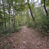 Appalachian Trail, Hosack Run, and Locust Gap Loop, Pennsylvania - 452 ...