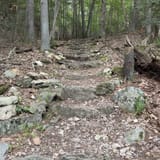 Appalachian Trail, Hosack Run, and Locust Gap Loop, Pennsylvania - 452 ...