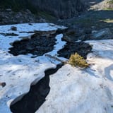 Sky Pilot Trail, British Columbia, Canada - 270 Reviews, Map | AllTrails