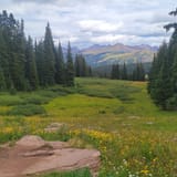 Shrine Ridge Trail, Colorado - 3,506 Reviews, Map | AllTrails