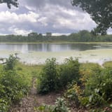 Cash Lake Loop Trail, Maryland - 1,144 Reviews, Map | AllTrails