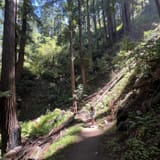 Tanbark Trail and Tin House Loop, California - 1,411 Reviews, Map ...