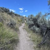 Beaver Ponds Loop Trail, Montana - 1,500 Reviews, Map | AllTrails