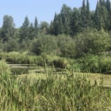 Lost '40' Trail, Minnesota - 182 Reviews, Map | AllTrails