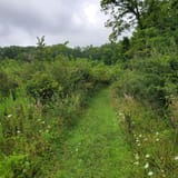 Bloodroot Trail, Indiana - 683 Reviews, Map | AllTrails